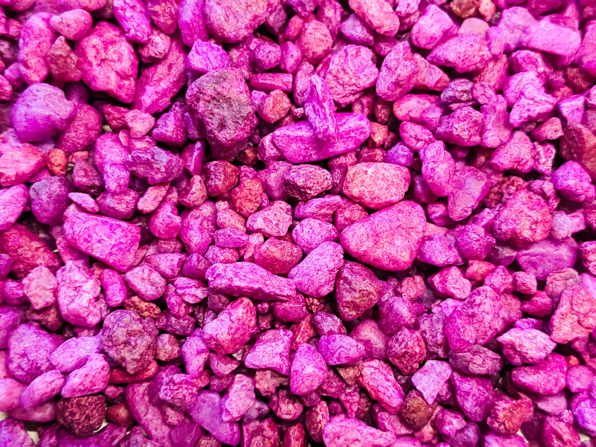 Neon Purple Gravel – Forest Aquatics