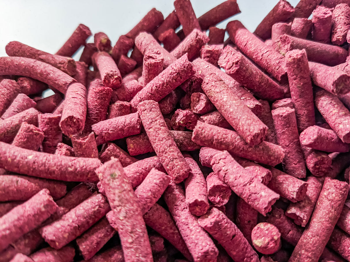 Beetroot & Snowflake Pellet – Forest Aquatics