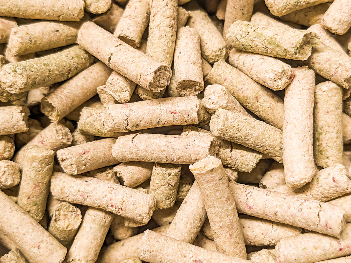 Pumpkin & Snowflake Pellet – Forest Aquatics